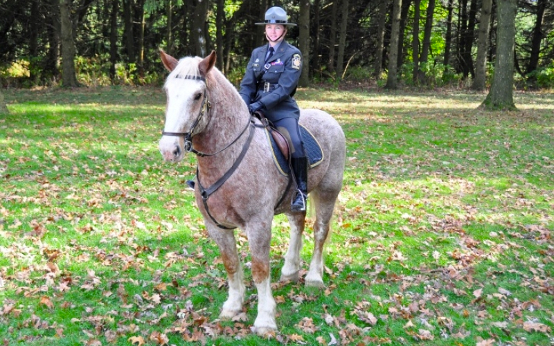 The Pennsylvania State Police