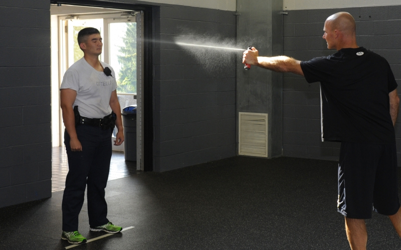 The Pennsylvania State Police